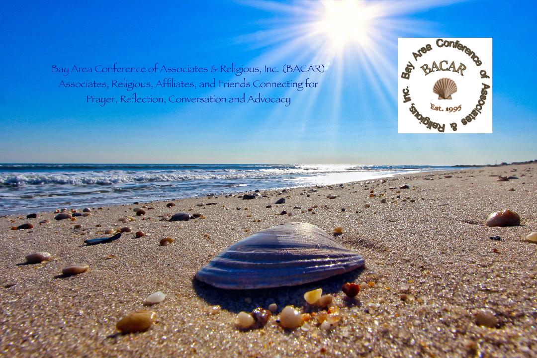 Who We Are – BACAR, Inc.